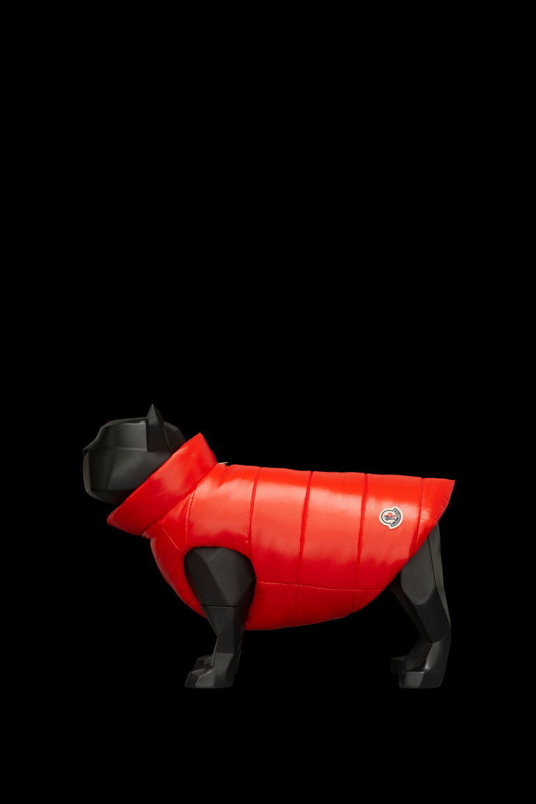 Moncler Genius - View All The Collections | Moncler
