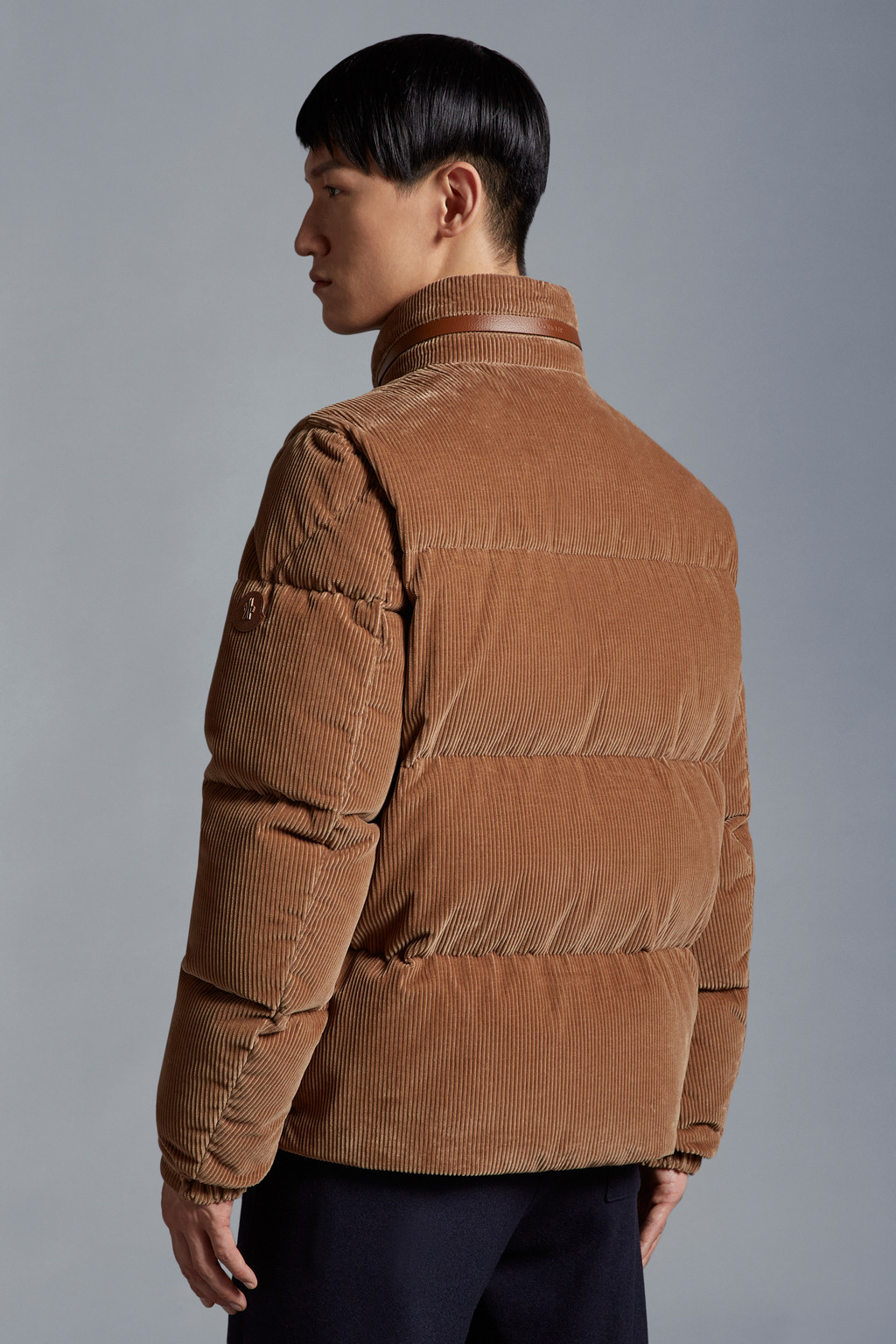 Brown Besbre Short Down Jacket - Short Down Jackets for Men | Moncler HR