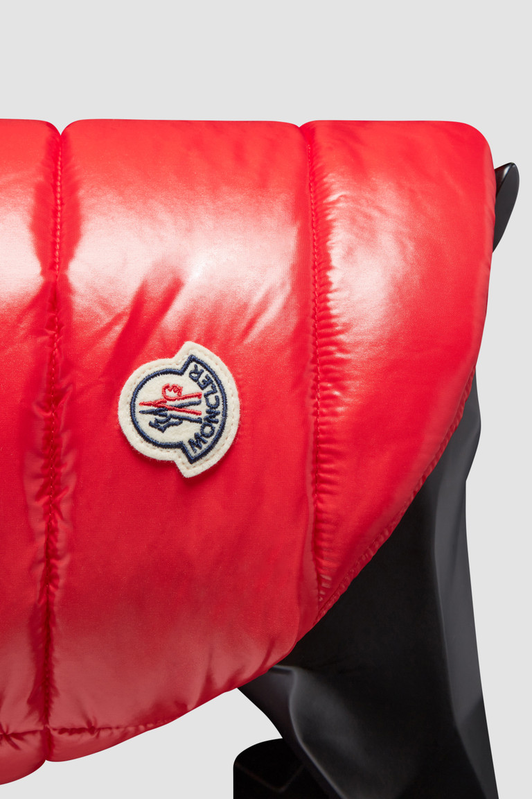 Moncler Poldo Dog Couture for Special Projects - Moncler x Poldo Dog ...
