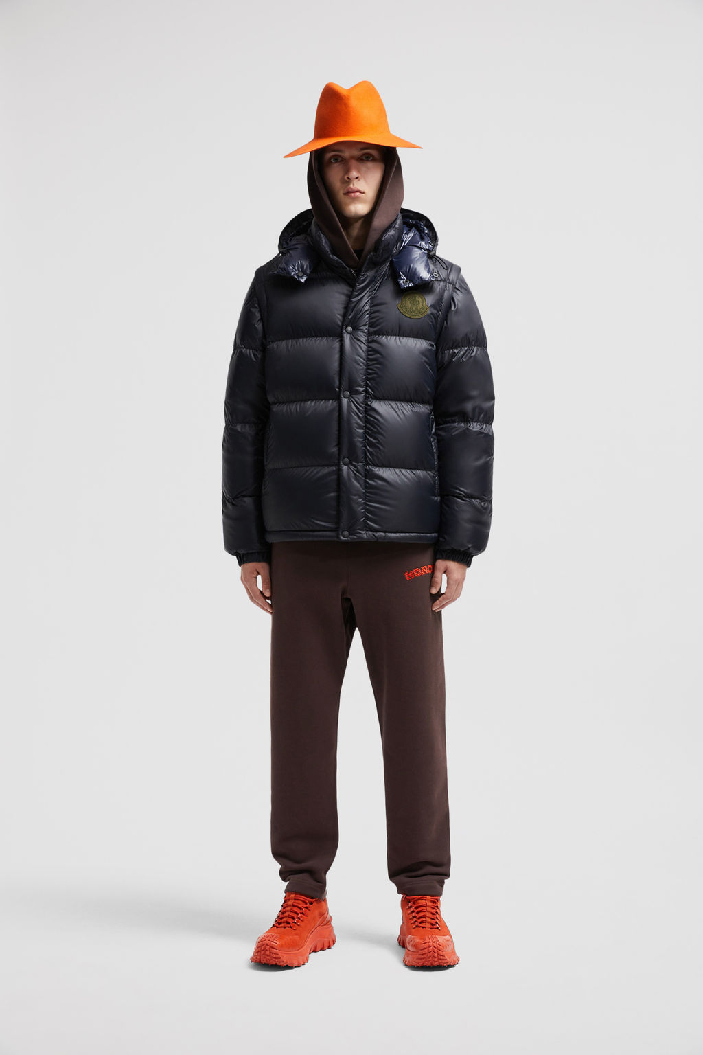 Courtesy page Genius