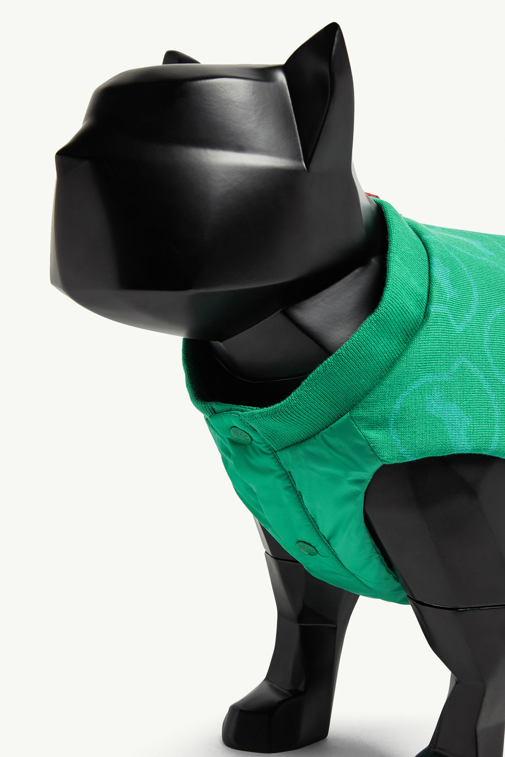 For Dogwear | Moncler US